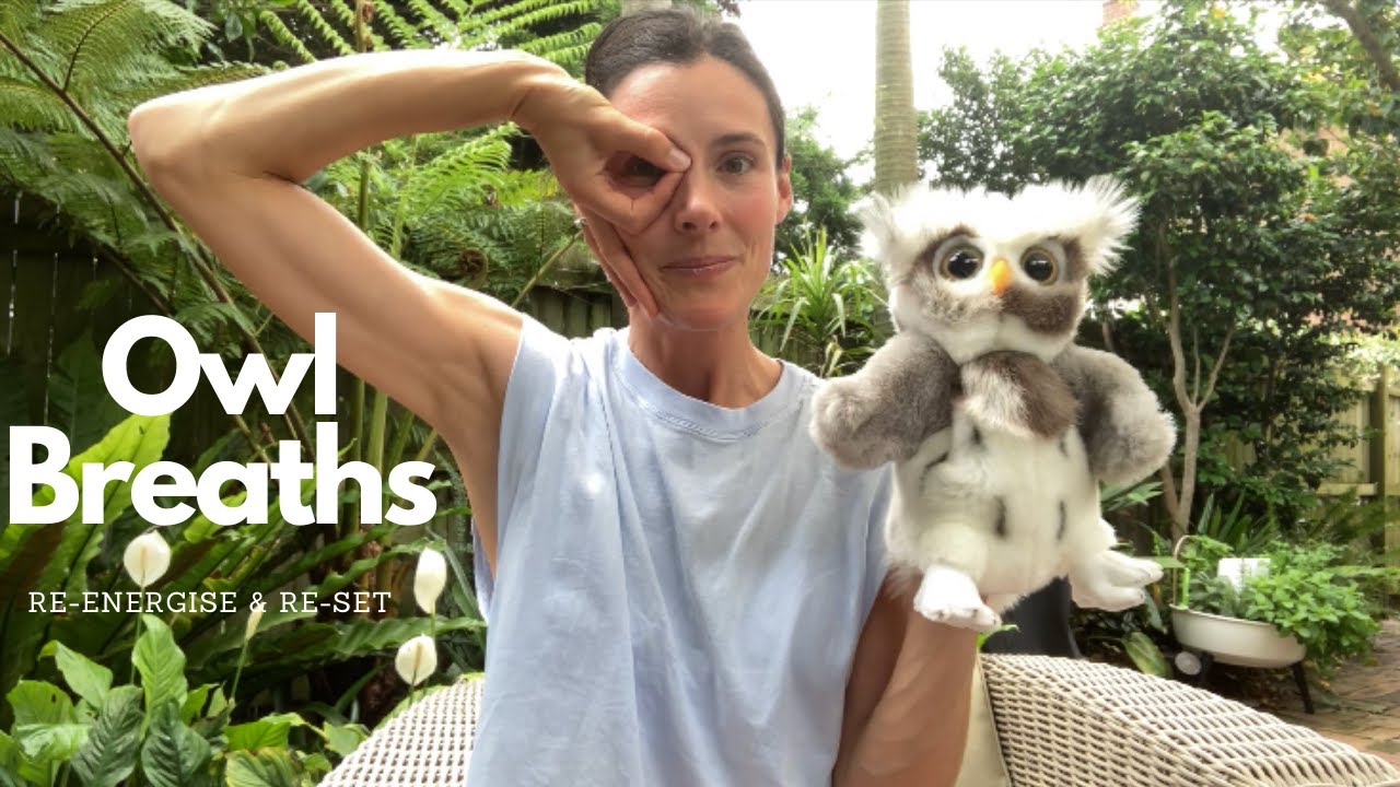 Owl Breaths - YouTube