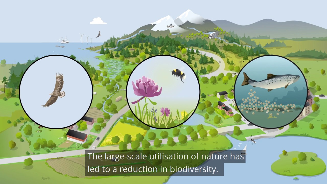 How we plan for sustainable landscapes with green infrastructure in the ...