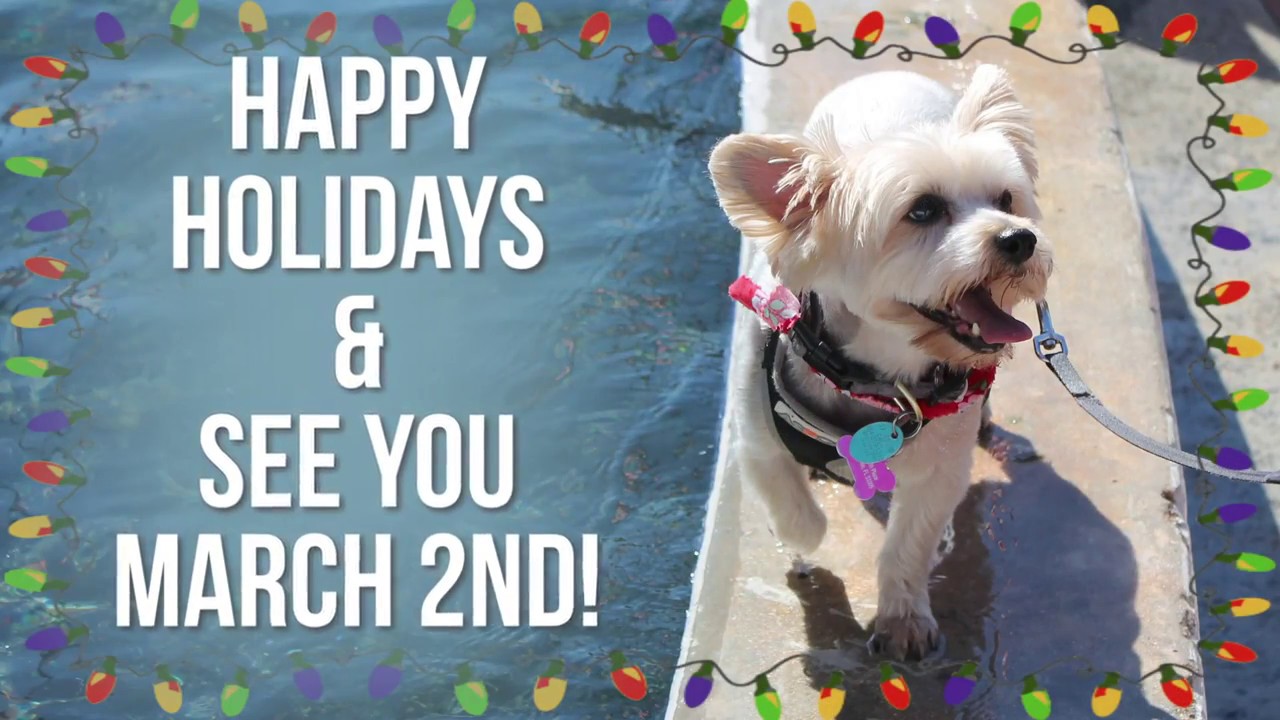 Walk Talks with Josie: Happy Holidays - YouTube