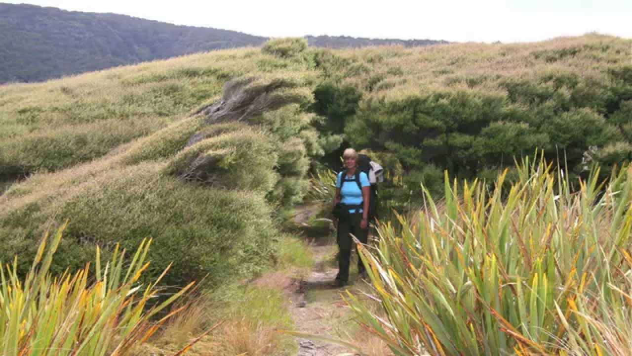 2010 35 NZ Stewart Island Mason Bay to Oban - YouTube