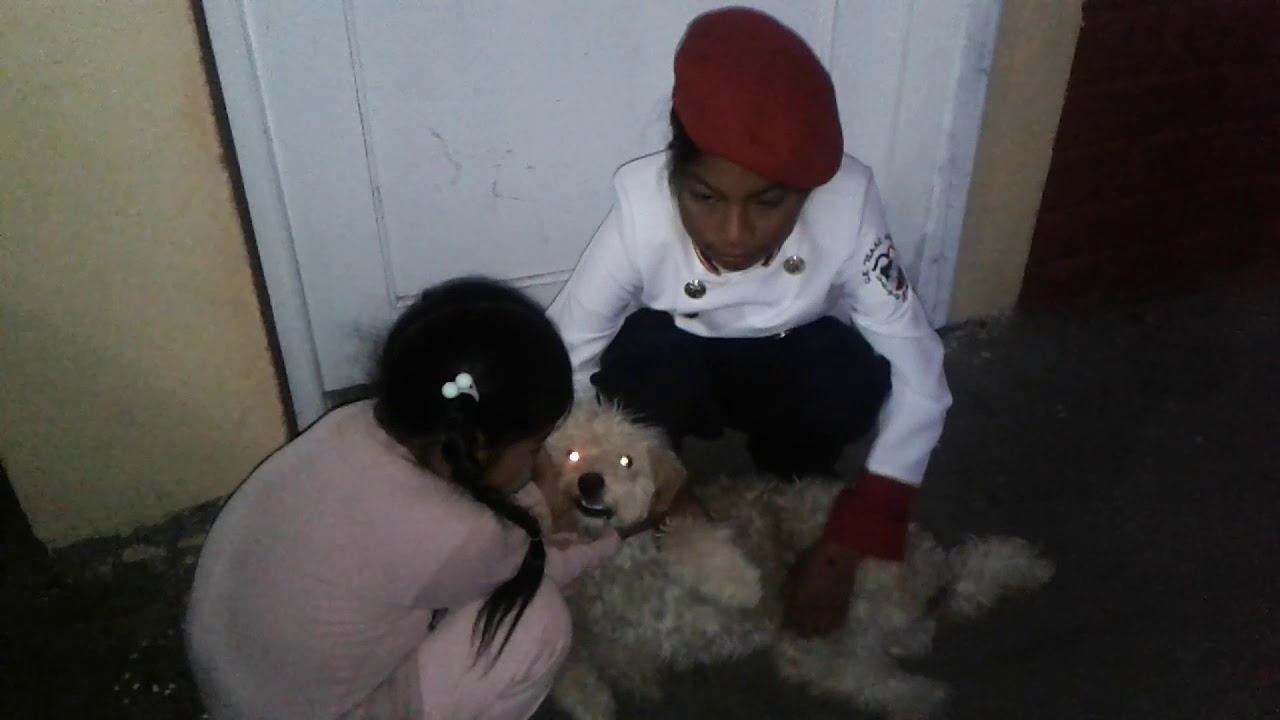 Erick y el firulias de ringo 2019 - YouTube