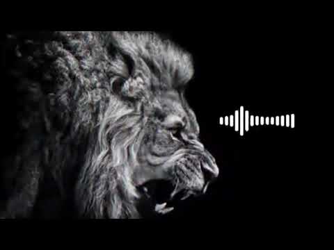 Lion roar sound what's up status🦁Lion roar ringtone bgm what's up status 🦁