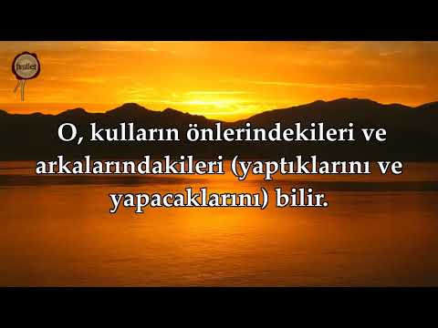Amenerrasulü, Ayetel Kürsi, Lev Enzelna | Ebubekir Şatıri Tilaveti (Huzur Veren Kur'an)