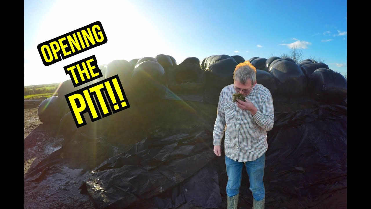 OPENING THE SILAGE PIT!! - YouTube