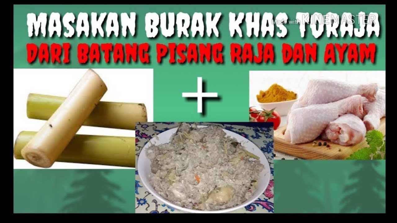 Cara Memasak Burak (Khas Toraja) Dari Batang Pisang Raja dan Ayam - YouTube