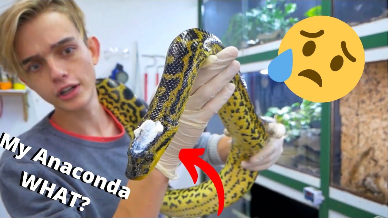 Snake Burn (HUGE Mess Up) - YouTube