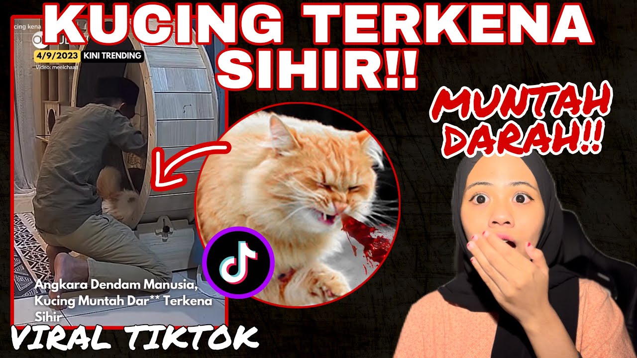 VIRAL TIKTOK KUCING NI TERKENA SIHIR‼️ SAMPAI MUNTAH DAR4H 😱 - YouTube