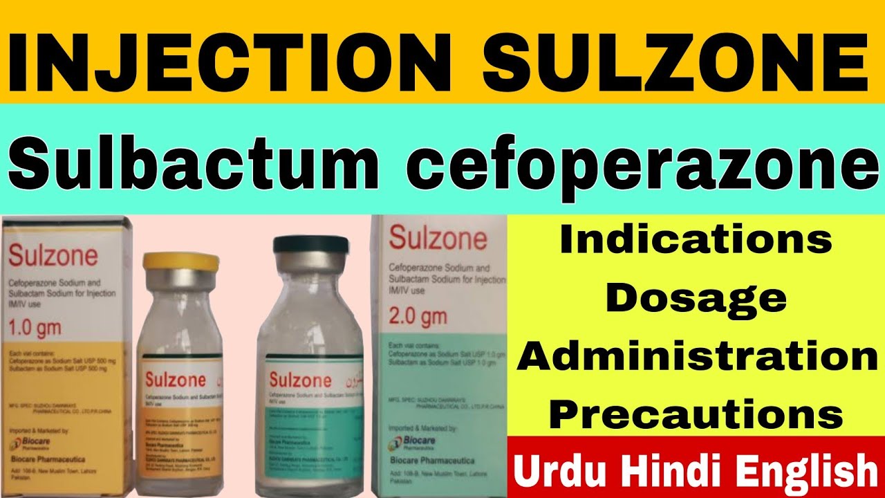 sulzone injection uses in urdu | sulbactum cefoprzone | beta lactam ...