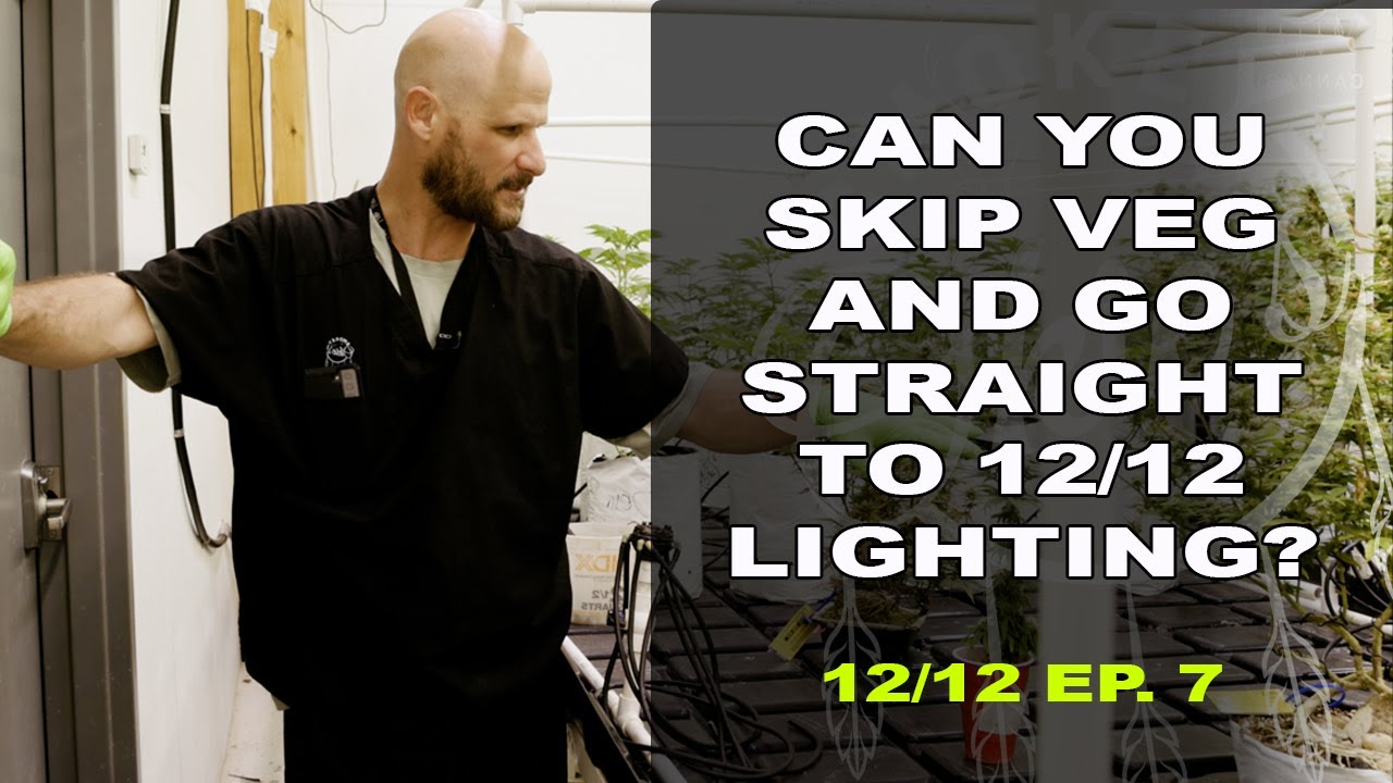 Five Weeks of Flowering in a Red Solo Cup | 12/12 from seed Ep. 7 - YouTube