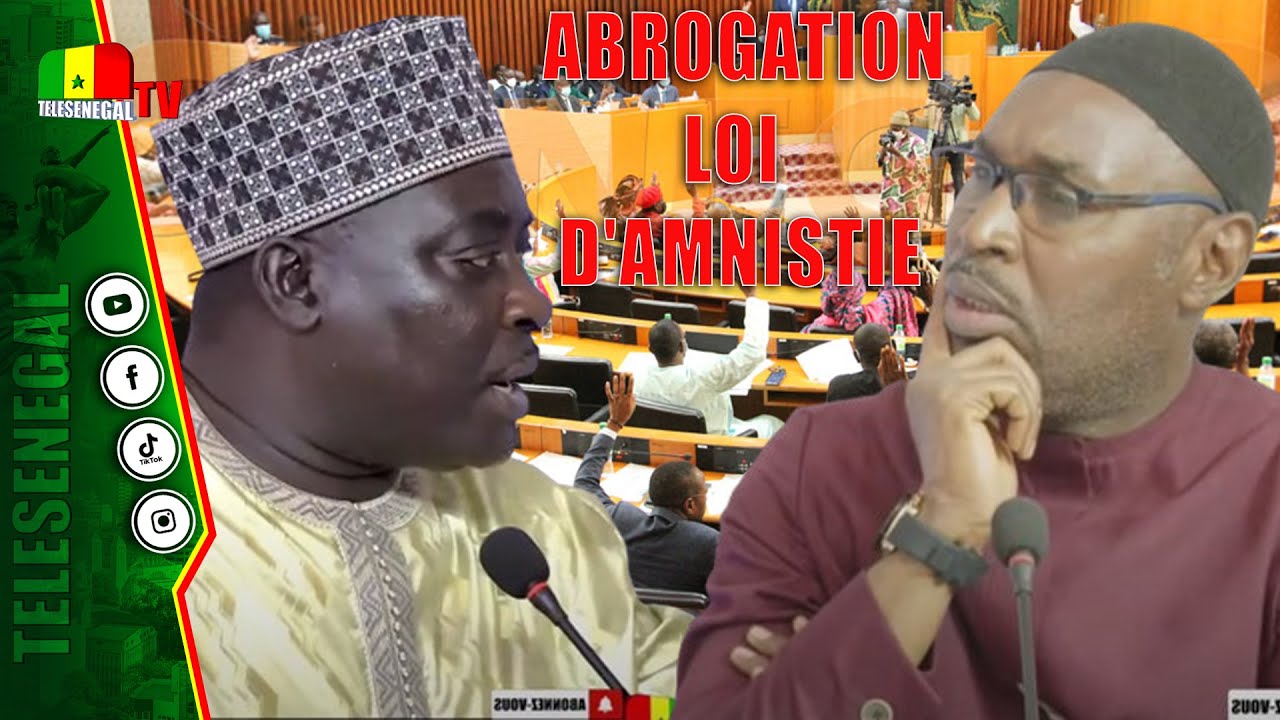 Abrogation loi d'amnistie : débat chaud entre Adama Fall et Adama ...