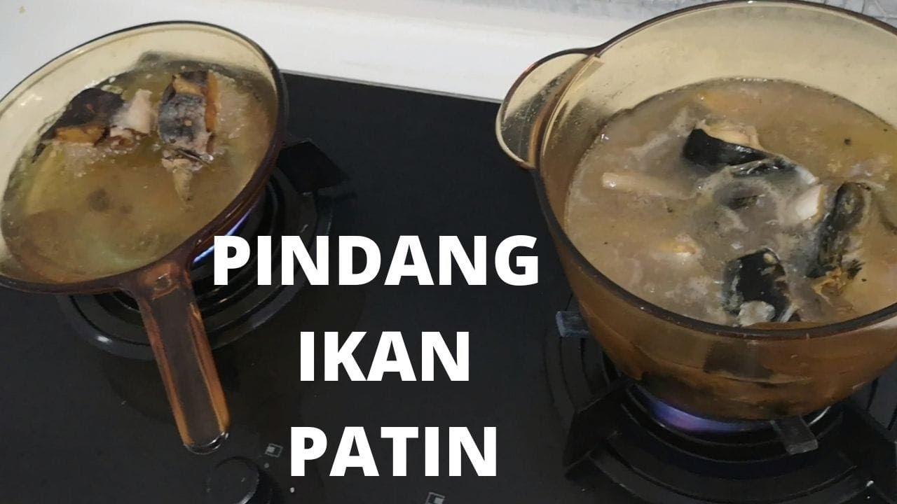 Menu Diet Autism ||Pindang Patin|| Cara menggoreng ikan dengan Visions ...