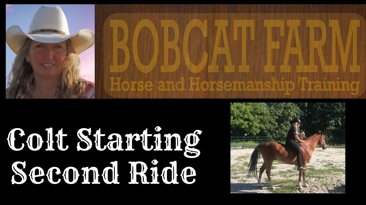 Colt Starting Second Ride - YouTube