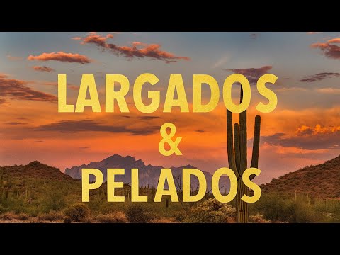 NOVA TEMPORADA - LARGADOS E PE 2025 - NOVA TEMPORADA COMPLETA 2025
