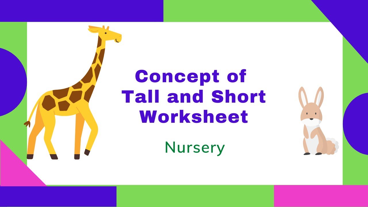 Concept of Tall and Short Worksheet - Nursery - YouTube