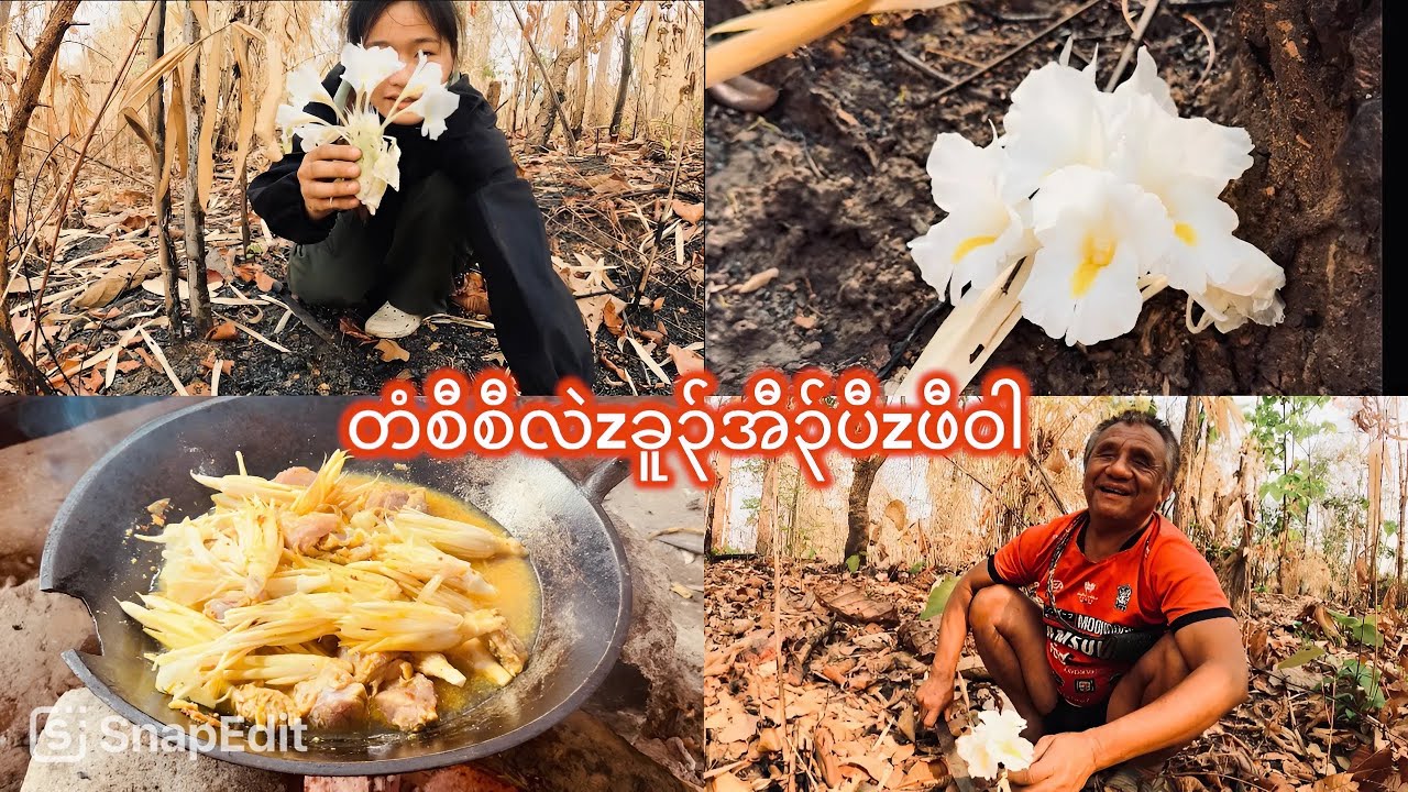 26/3/2025 👉Ti Klaw Di can dig out the p’paw Wah - YouTube