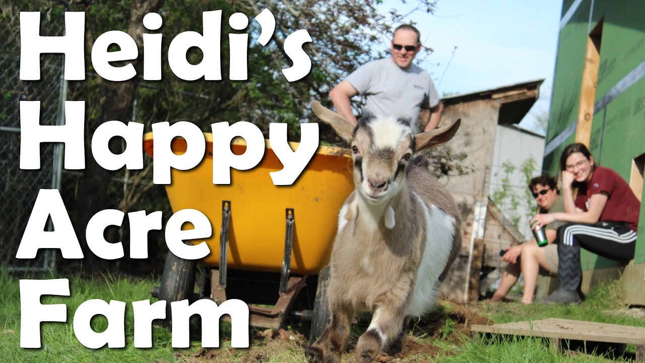 Welcome to Heidi's Happy Acre Farm! - YouTube