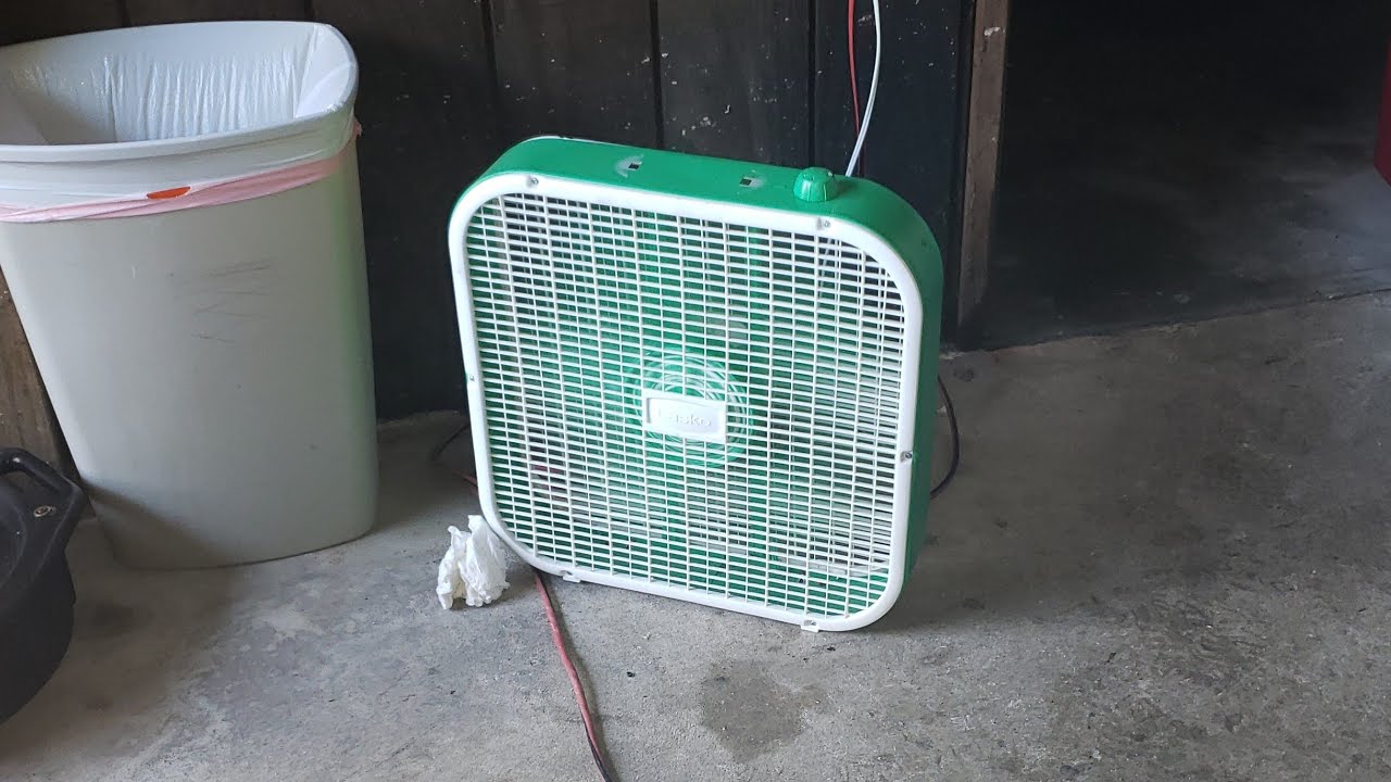 20" lasko green box fan - YouTube