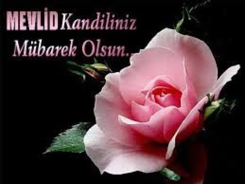🌹en güzel resimli Mevlid kandili mesajları🌹