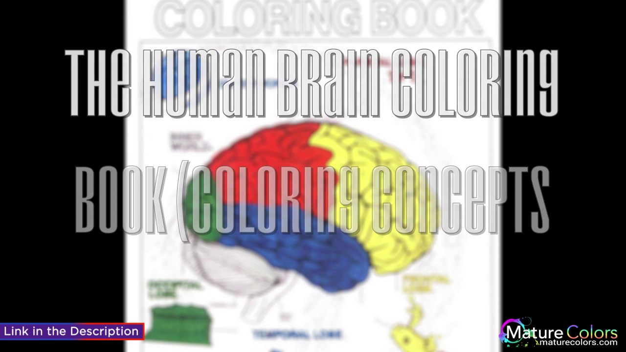The Human Brain Coloring Book Coloring Concepts Series - YouTube