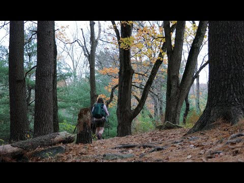 Trail Dames | Short Documentary 4k - YouTube