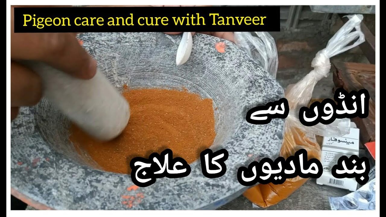 August 19, 2020 - YouTube