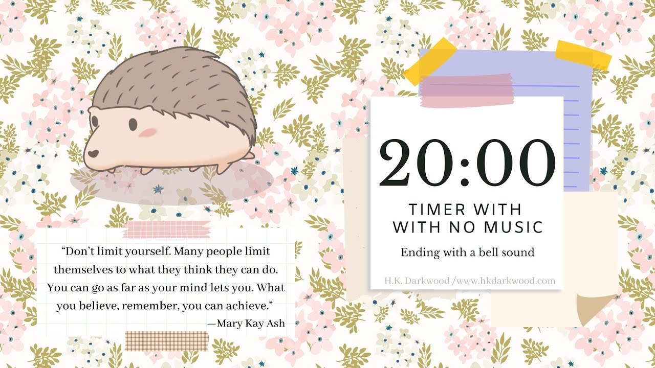 CUTE AESTHETIC 20 min TIMER, Timer for Writing, Studying, Focus and ...