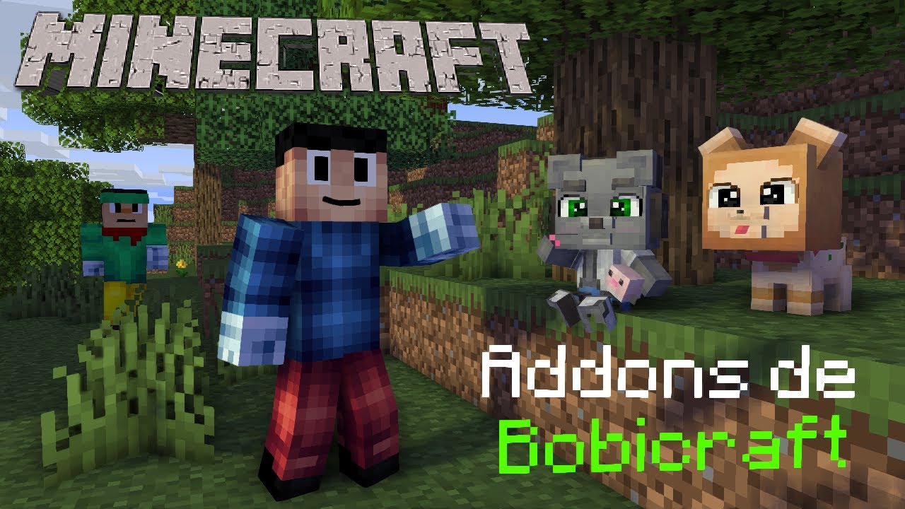 Los Addons de Bobicraft Bobi Chiquito y Comandiu Chiquito | Minecraft ...