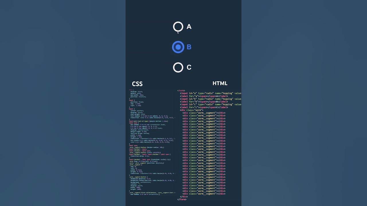 Create A Custom Animated Radio Button Using Html Css Webdesign Webdevelopment Programming