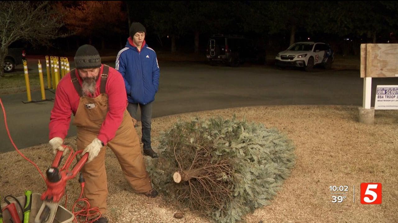 Nearly 100 Christmas trees stolen from Murfreesboro Boy Scout lot - YouTube