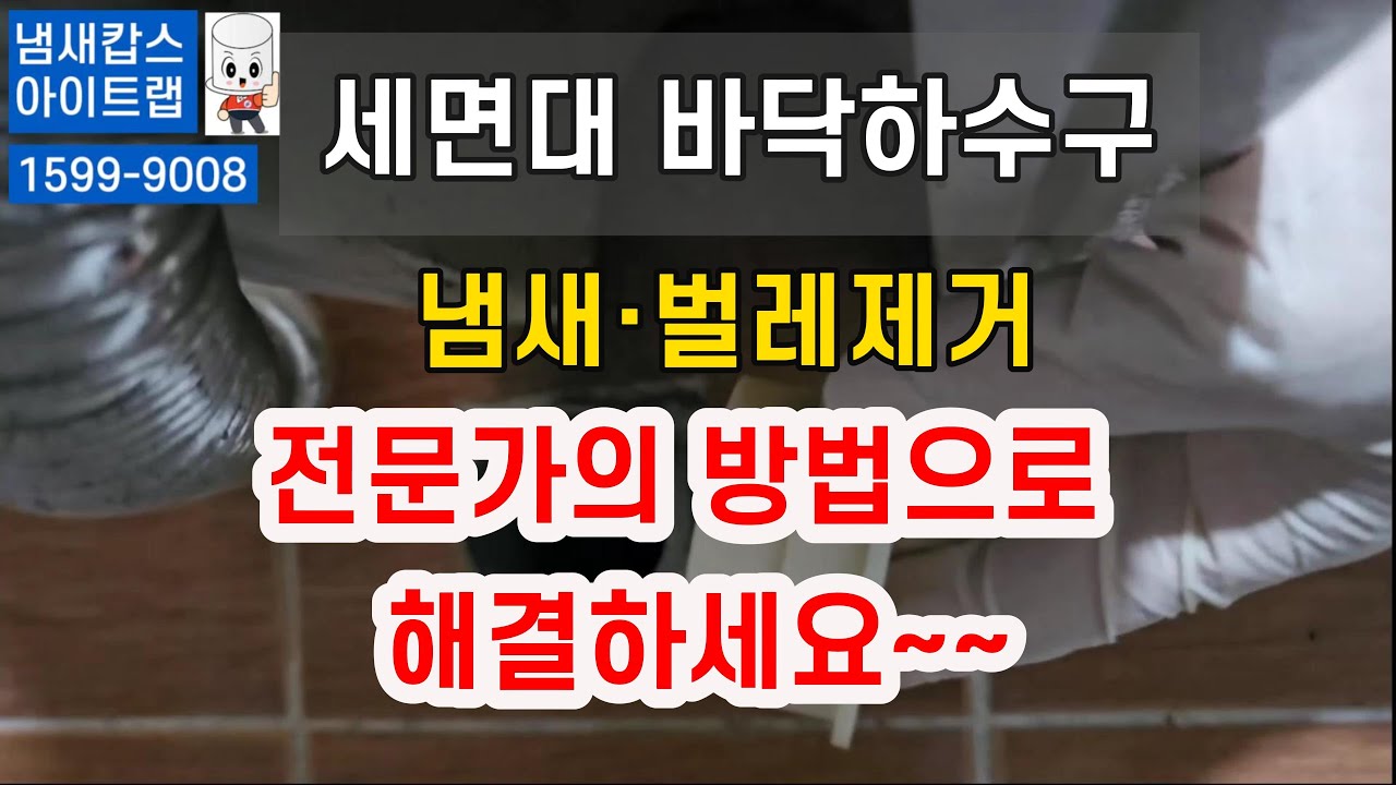 화장실 하수구 트랩 냄새제거 벌레 악취 차단 세면대 하수구 냄새벌레제거 아이트랩으로 100완벽차단 Youtube