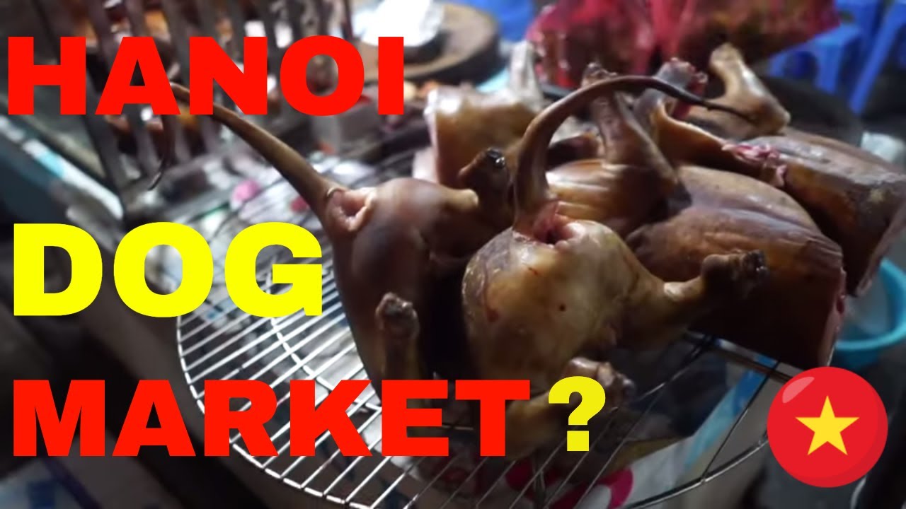 Chinese Fried Dog