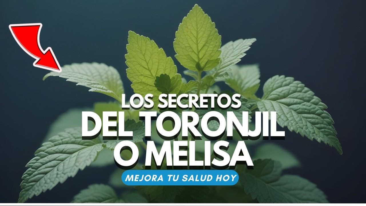 Descubre el SECRETO del TORONJIL o MELISA 🌿 La Planta que Transformará ...