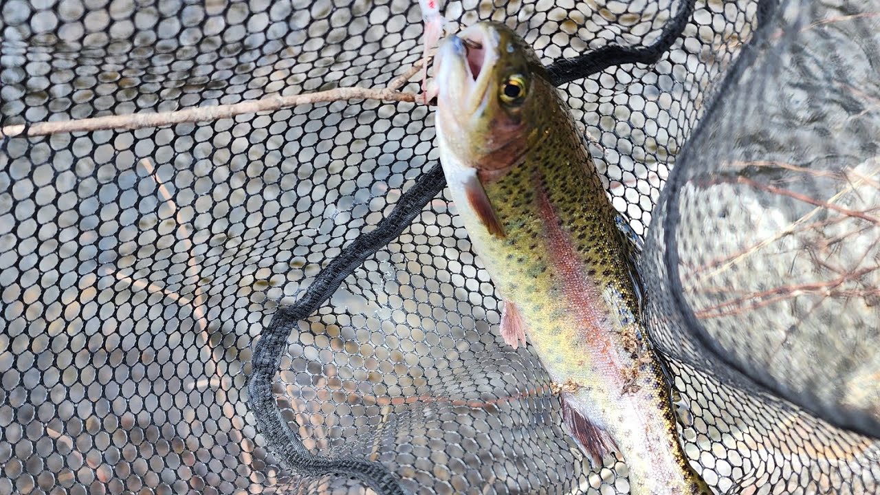 Spring trout fishing. Souhegan River. Merrimack and Amherst, NH - YouTube
