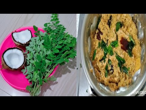 Coconut pickle recipe in Telugu. కొబ్బరి మునగాకు పచ్చడి - YouTube