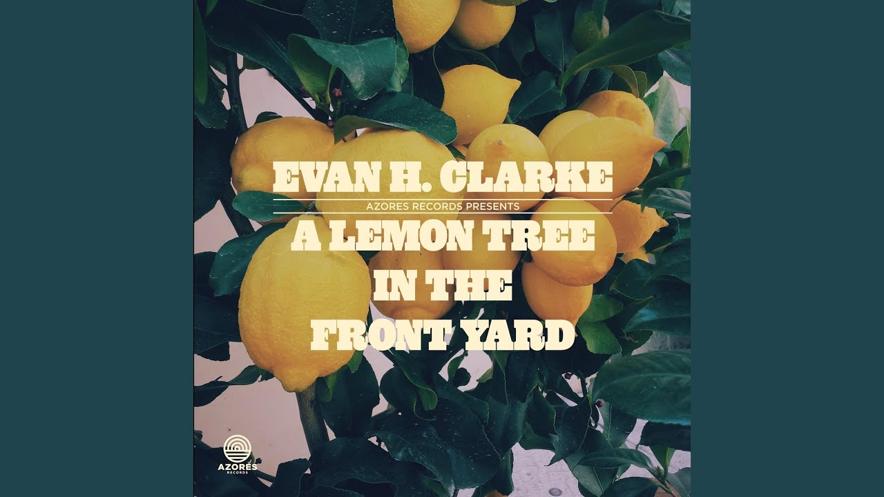 A Lemon Tree in the Front Yard - YouTube