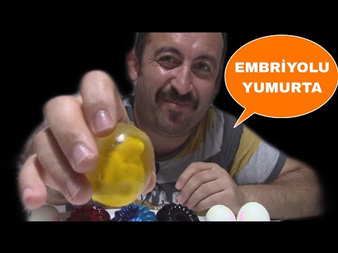 TÜRKİYE'DE İLK !!! | Embriyolu Yumurta ( BALUT ) Yedim | TÜRKÇE ASMR