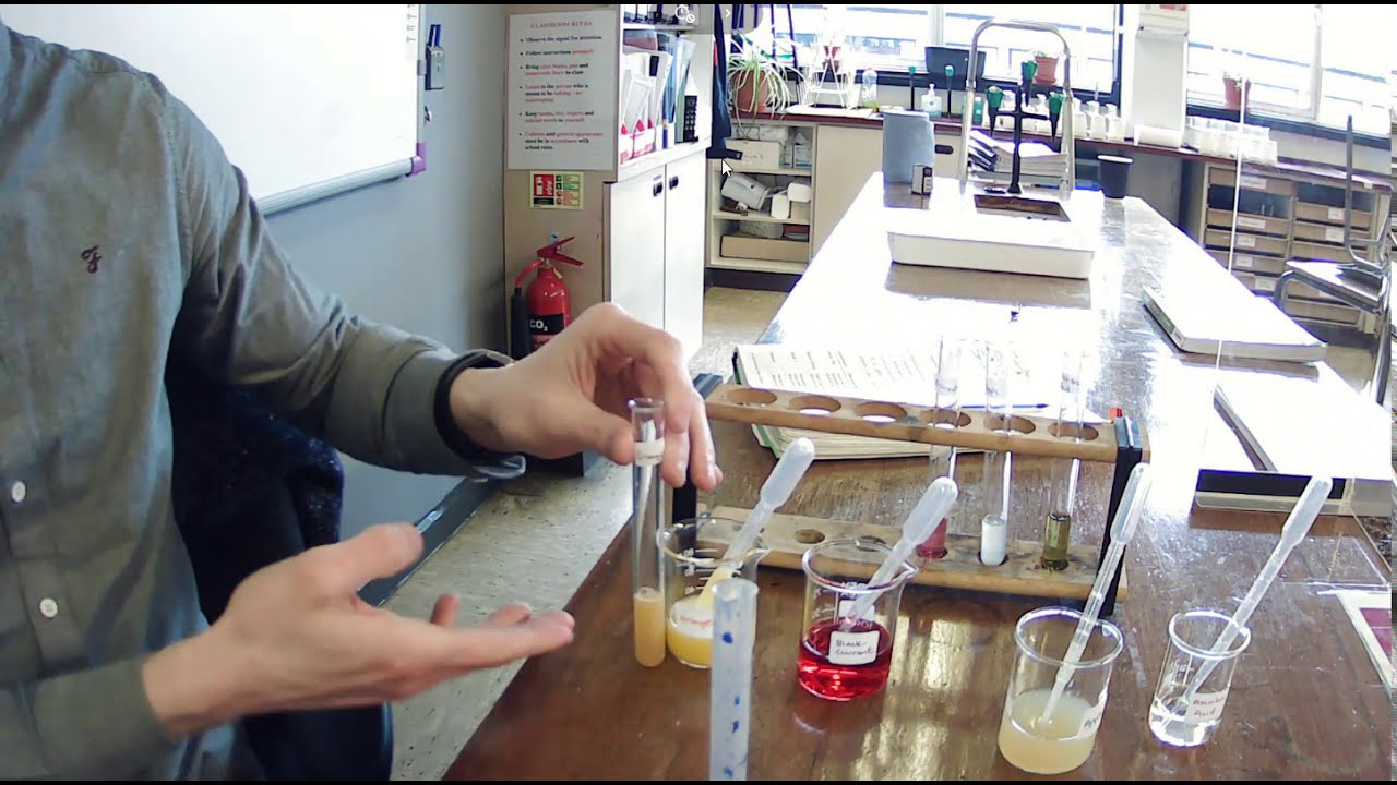 DCPIP Lesson and Experiment - YouTube