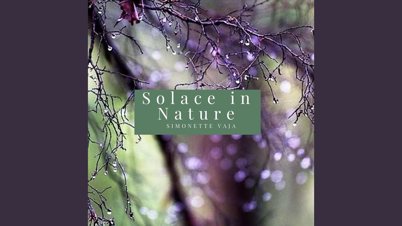 Solace in Nature - YouTube