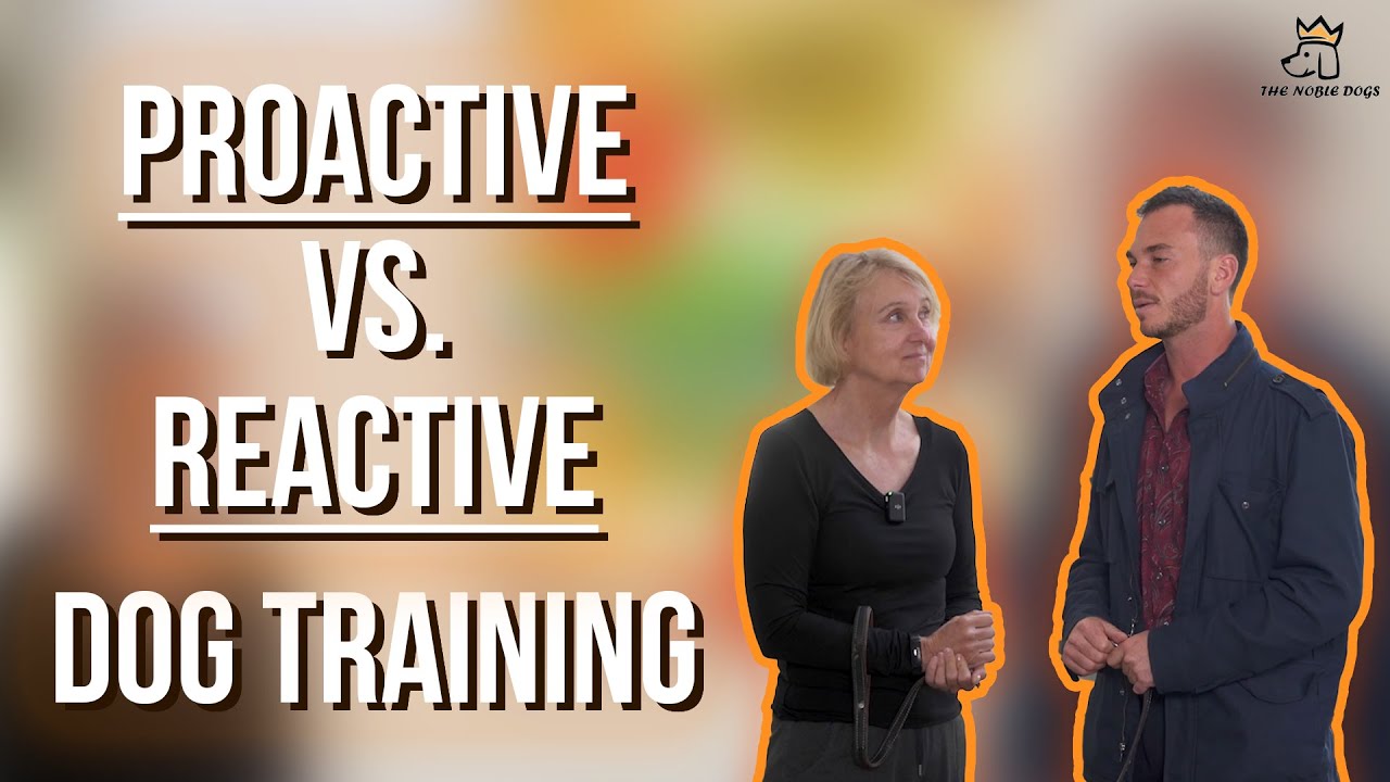 Proactive and Reactive Dog Training - YouTube