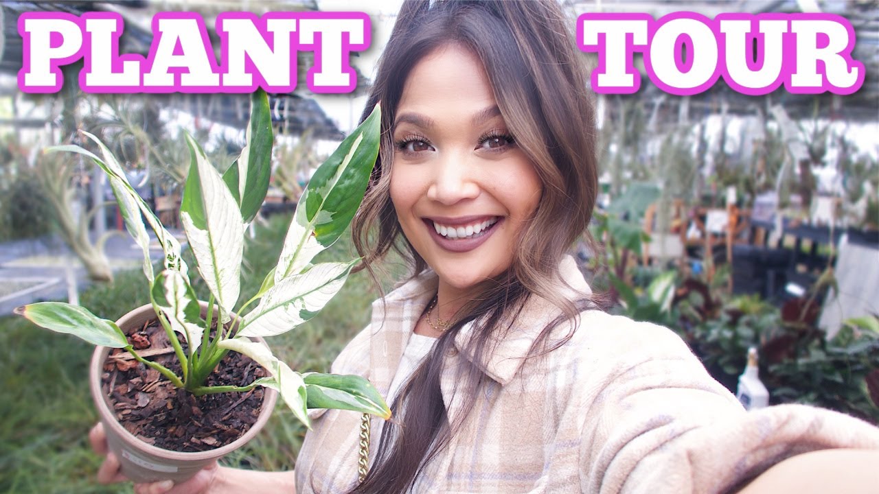 A Relaxing Plant Tour That Turned Into A Surprise Plant Shopping Trip ...