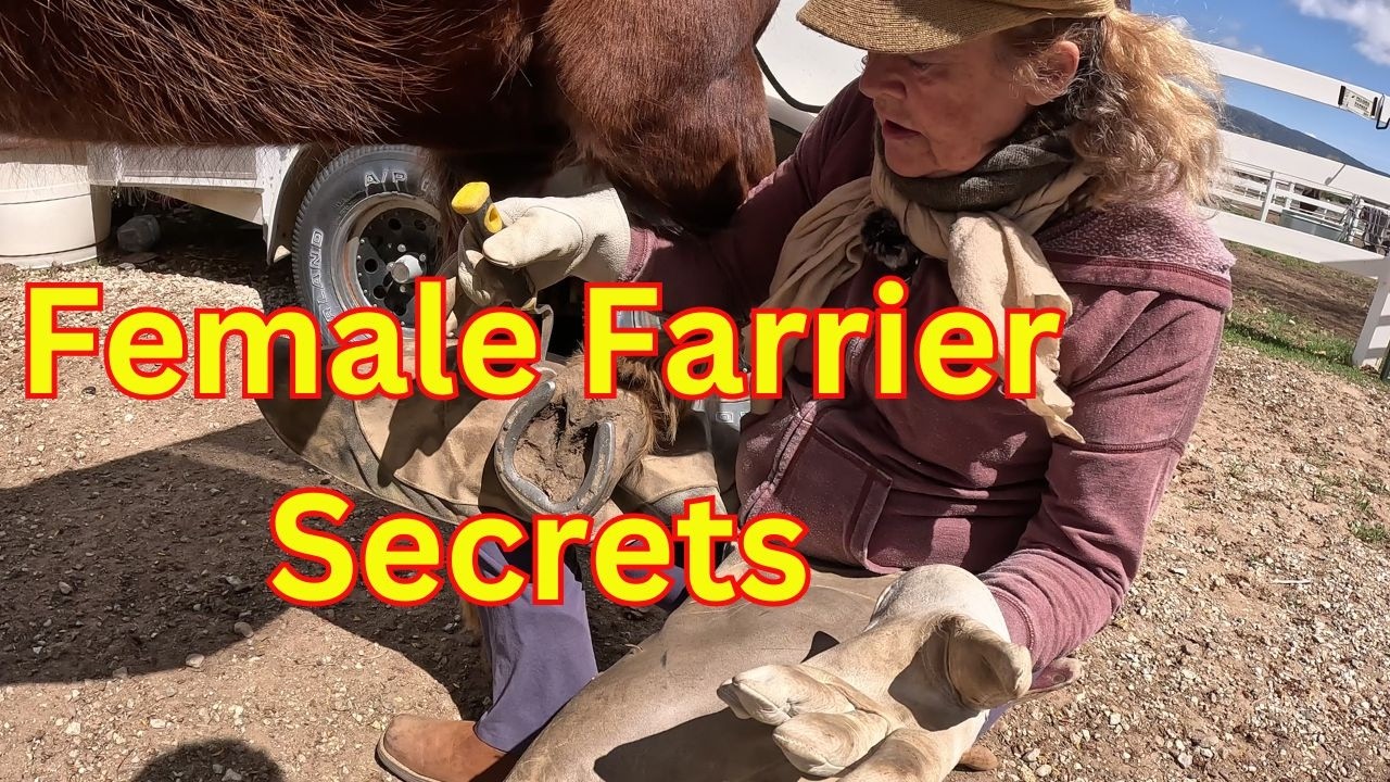 Meet the Female Farrier Redefining Hoof Care - YouTube