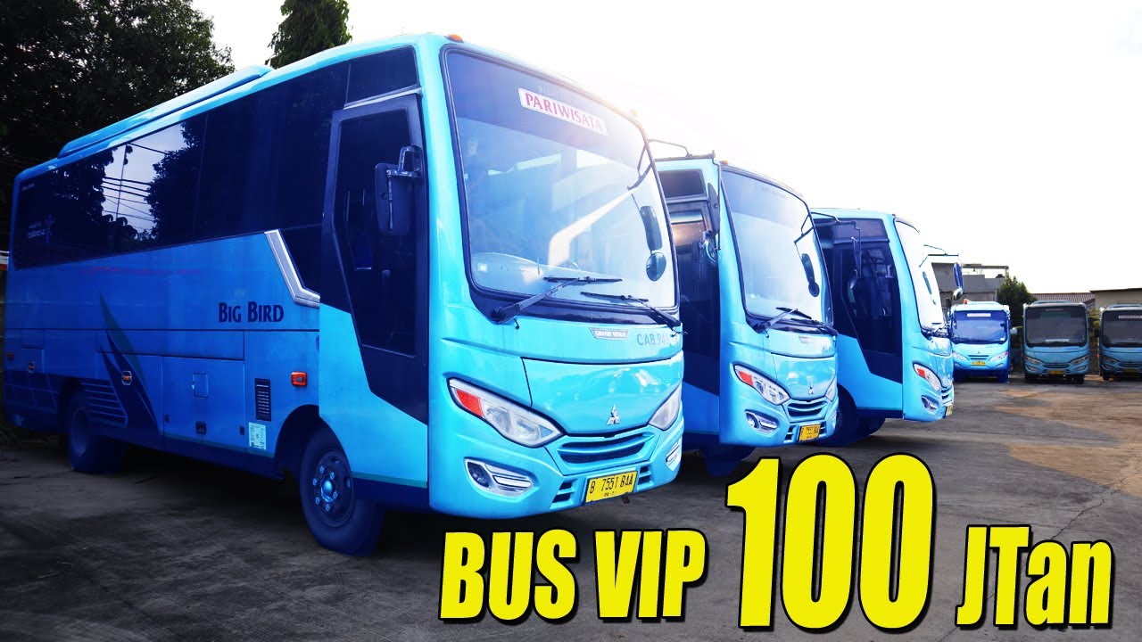 BUS MEDIUM EX BIG BIRD, HARGA BEKASNYA MENGGIURKAN BUAT BIKIN MOTORHOME ...