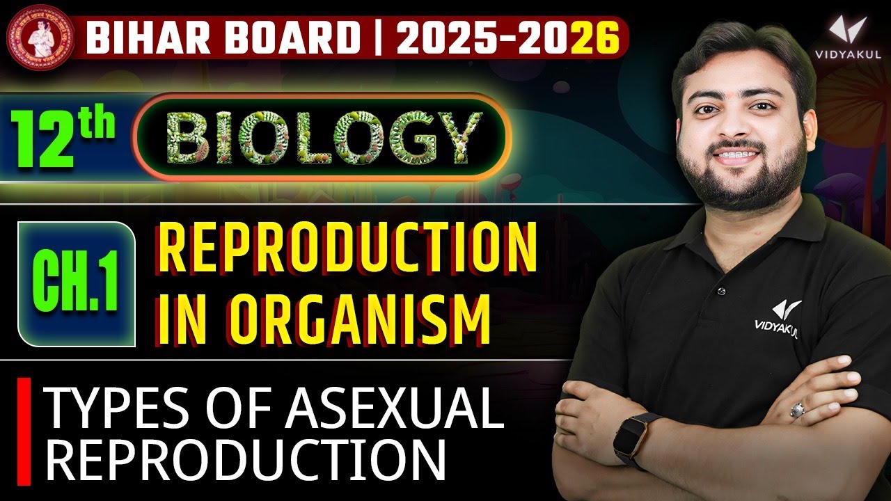 Class 12 Biology Chapter 1 Reproduction in Organisms | Types Of Asexual ...