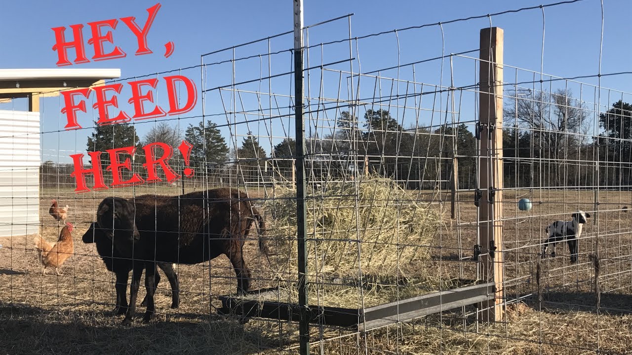 DIY Hay Feeder, for our new sheep. - YouTube