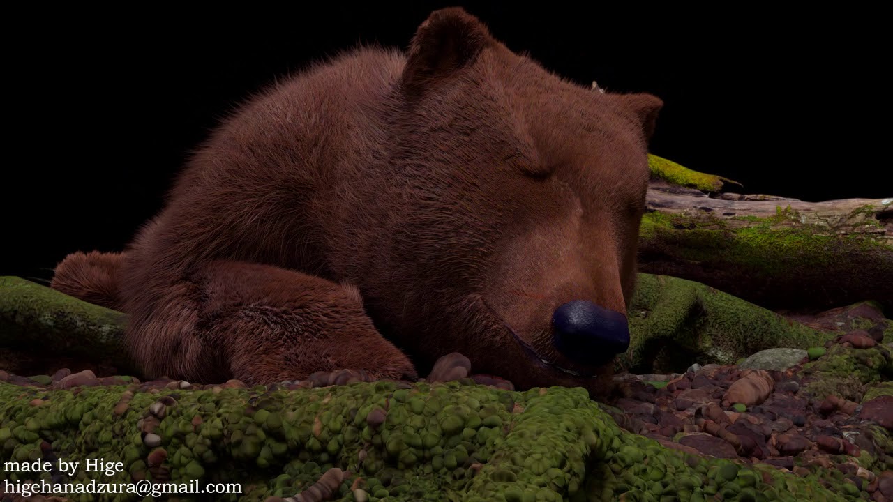 Grizzly bear animation - YouTube
