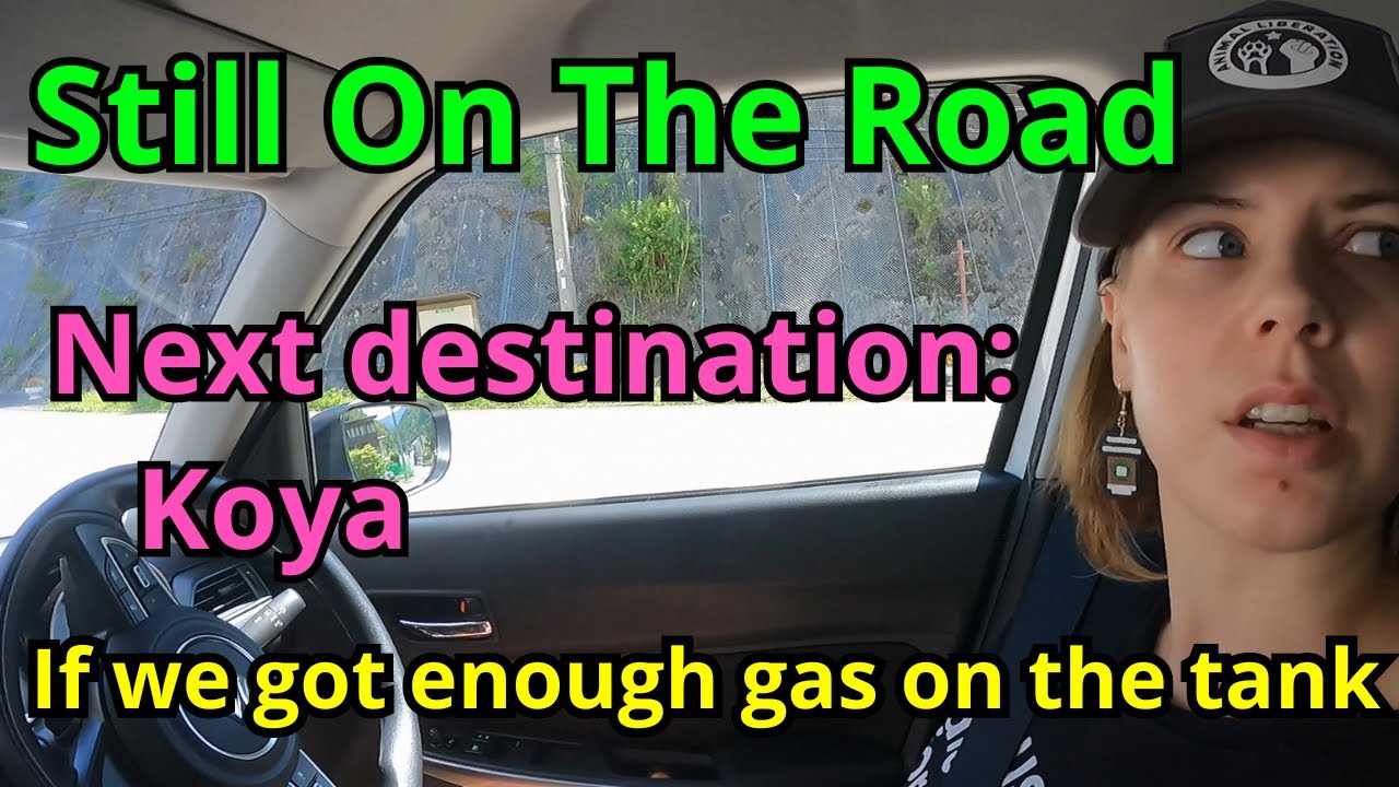 Road Trip: Exploring the mountain and heading for Koya, just to find ...