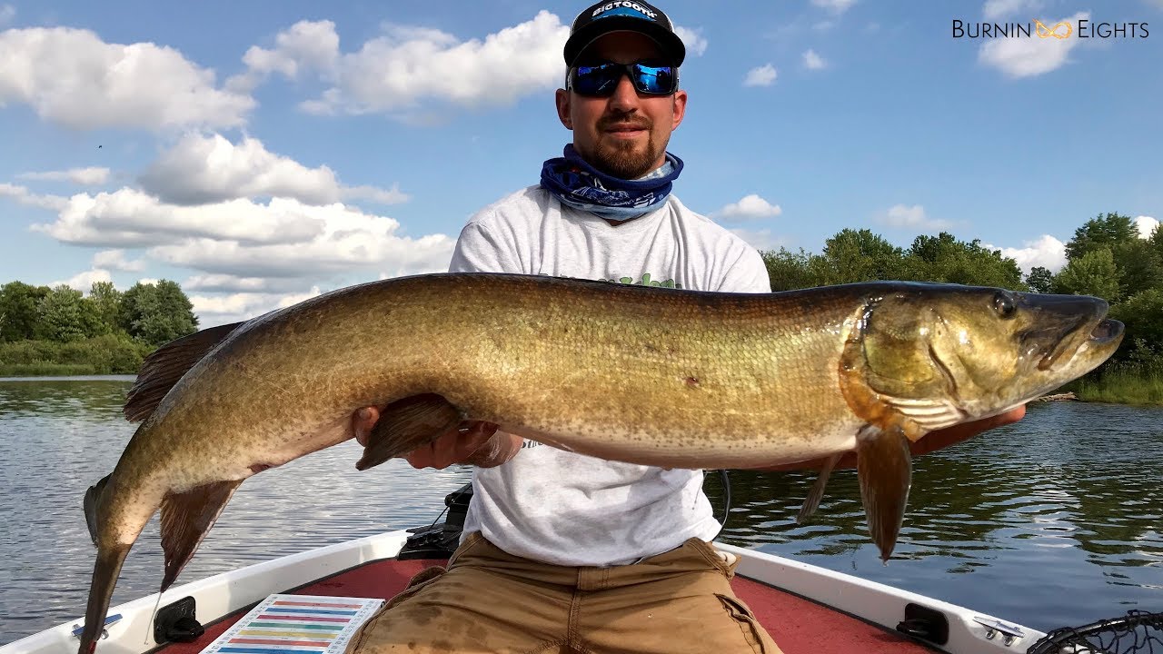 Big Full Moon Musky - River Fishing In Wisconsin - YouTube