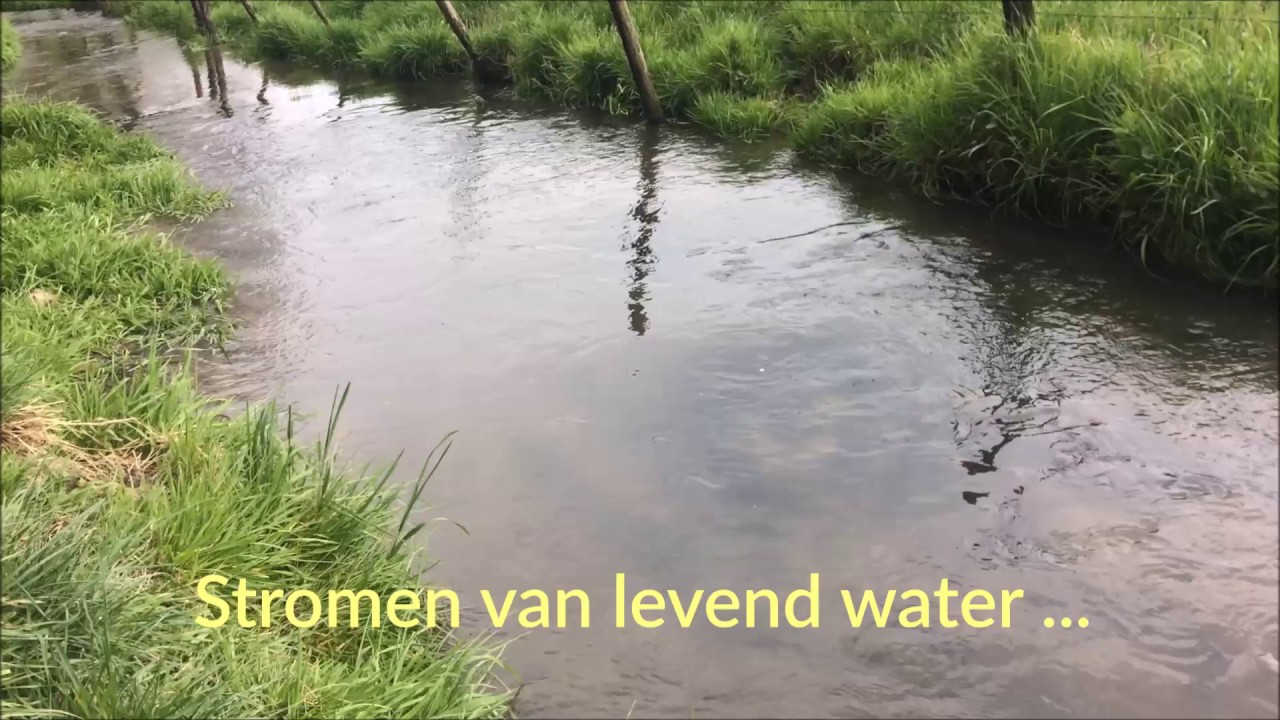 levend water - YouTube