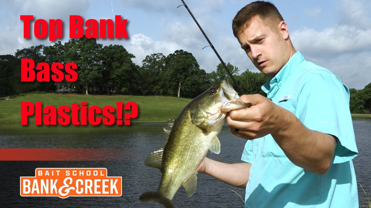 How To Catch More Bass From the Bank with Proven Finesse Techniques ...