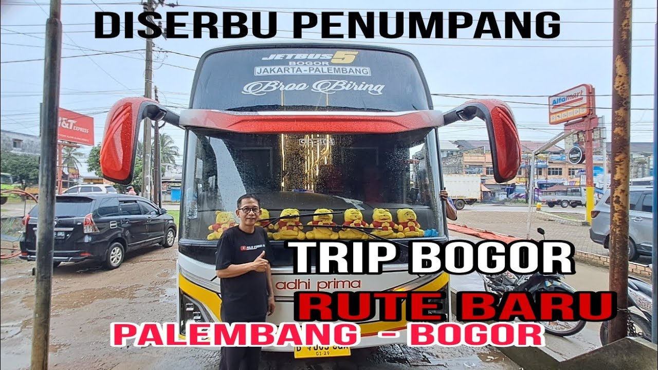 Baru Buka Line Bogor📍Bus Adhi Prima Suites Class Langsung Full Seat ...
